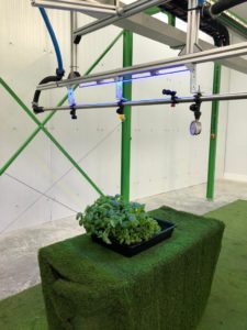 MagGrow - using science to build better agriculture - MagrowTec - A ...